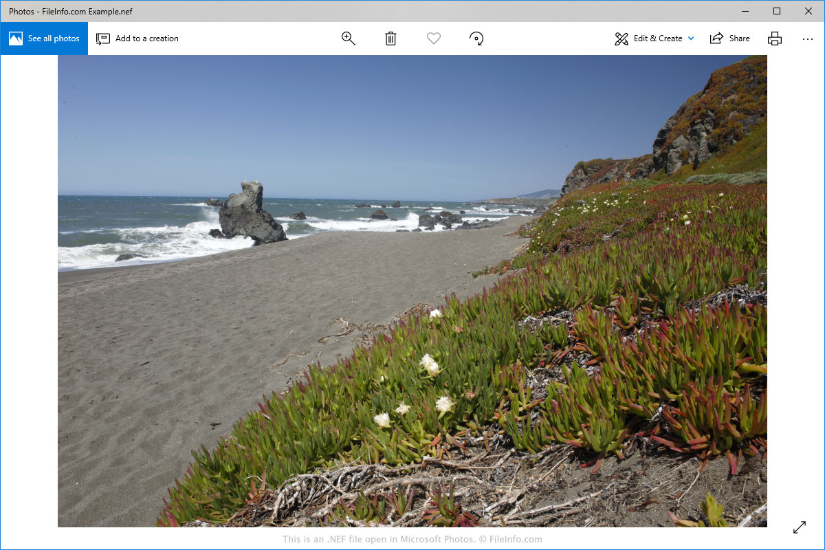 NEF Extensão de Arquivo | O que é um arquivo .NEF e como abri-lo